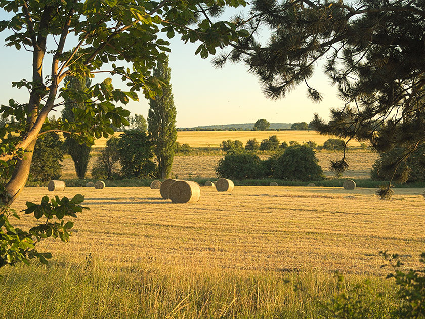 Ballyrobert Local Area Guide